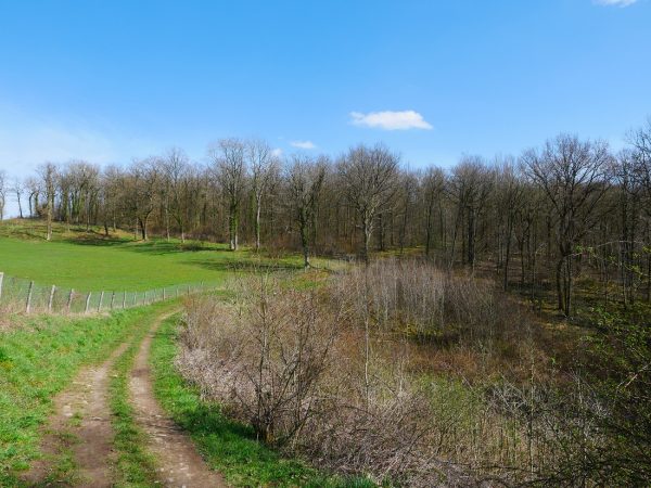 Balade dans le beau village de Sosoye - Ju on the road