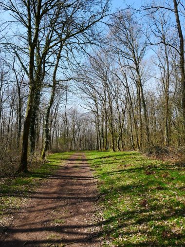 Balade dans le beau village de Sosoye - Ju on the road