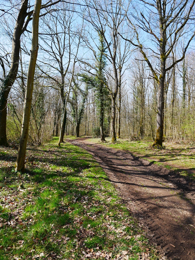 Balade dans le beau village de Sosoye - Ju on the road