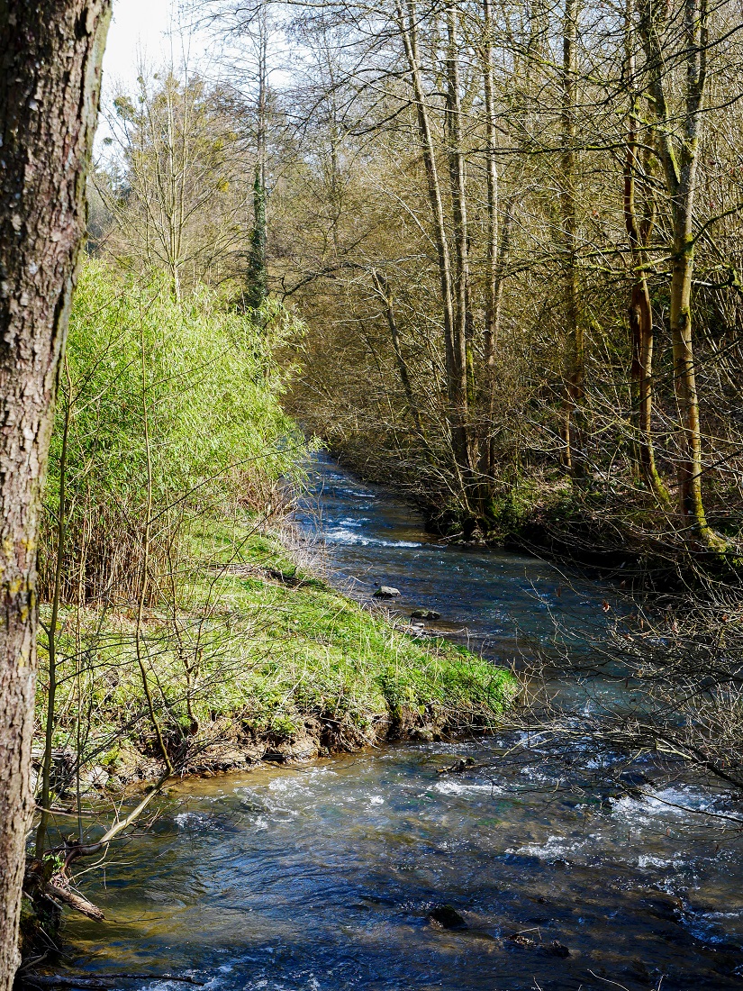 Balade dans le beau village de Sosoye - Ju on the road