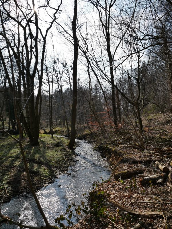 La Promenade de Saint-Séverin dans le Condroz - Ju on the road