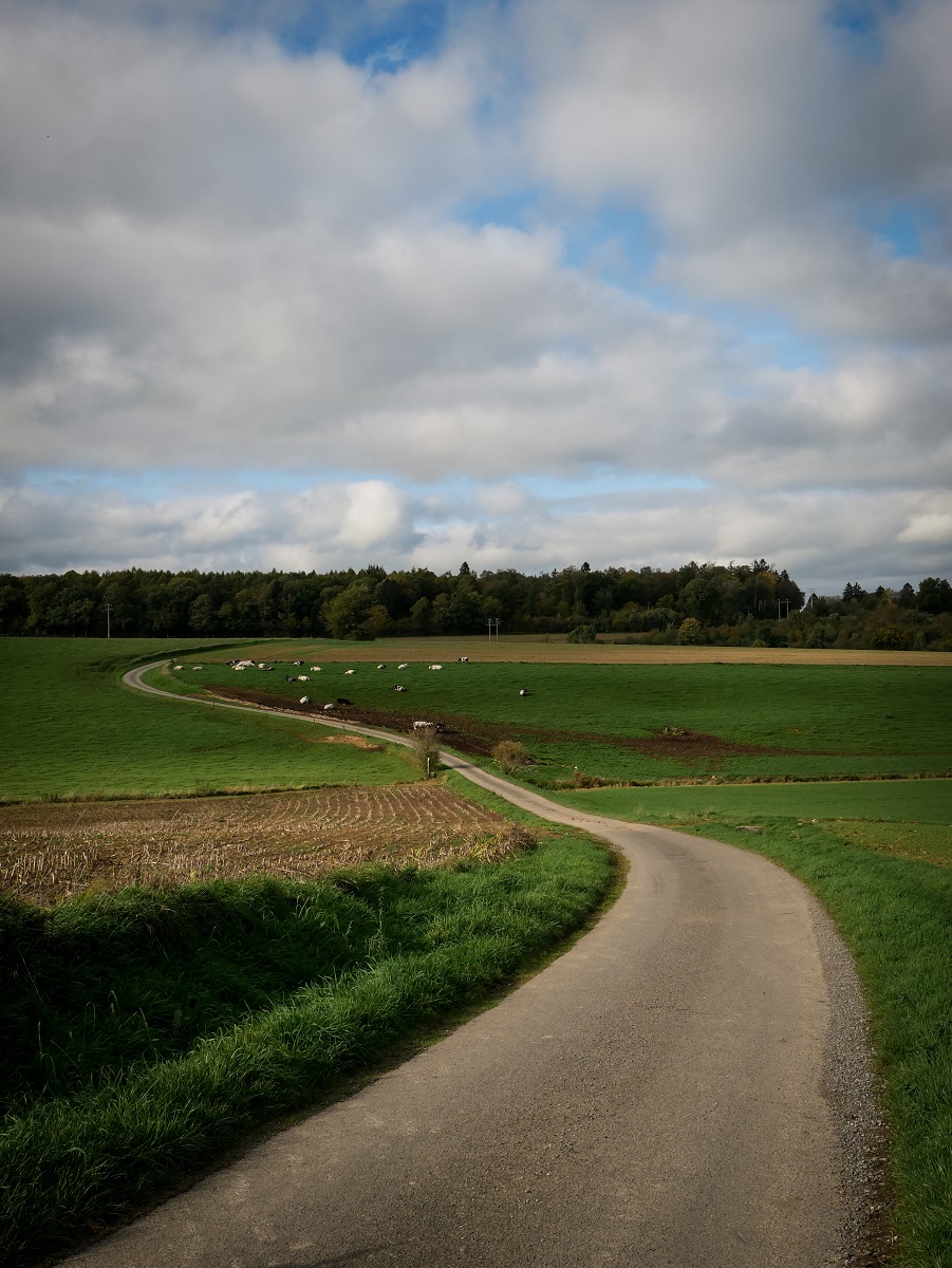 Promenade du Bois d’Ossogne à Havelange - Ju on the road