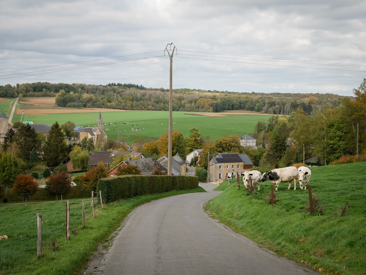 Promenade du Bois d’Ossogne à Havelange - Ju on the road