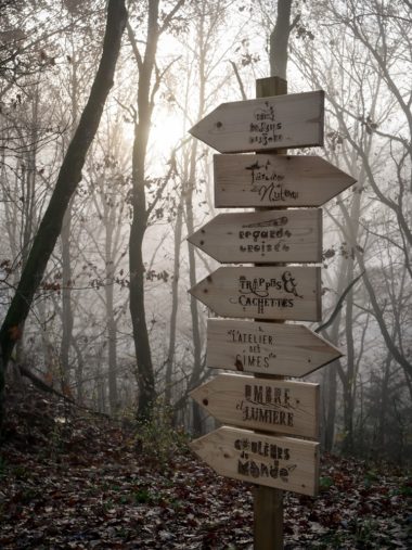 Mon lit dans l’arbre – une nuit magique au cœur de la forêt ardennaise ...