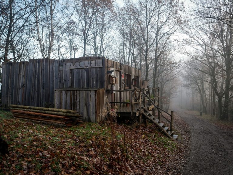 Mon lit dans l’arbre – une nuit magique au cœur de la forêt ardennaise ...