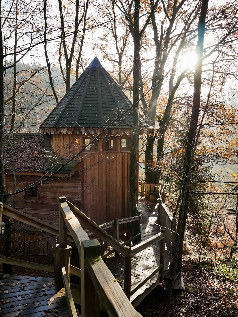 Mon lit dans l’arbre – une nuit magique au cœur de la forêt ardennaise ...